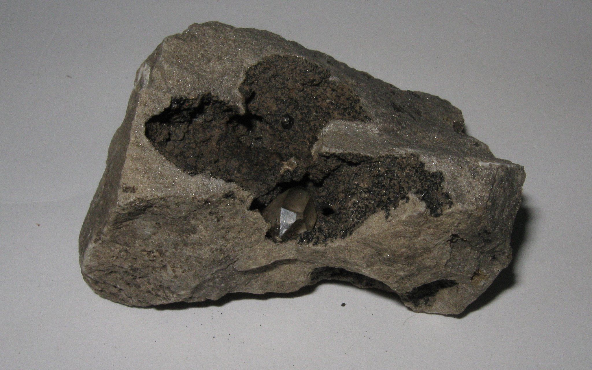 Herkimer Diamond in Limestone Matrix 3 | Of Coins – Of Coins & Crystals